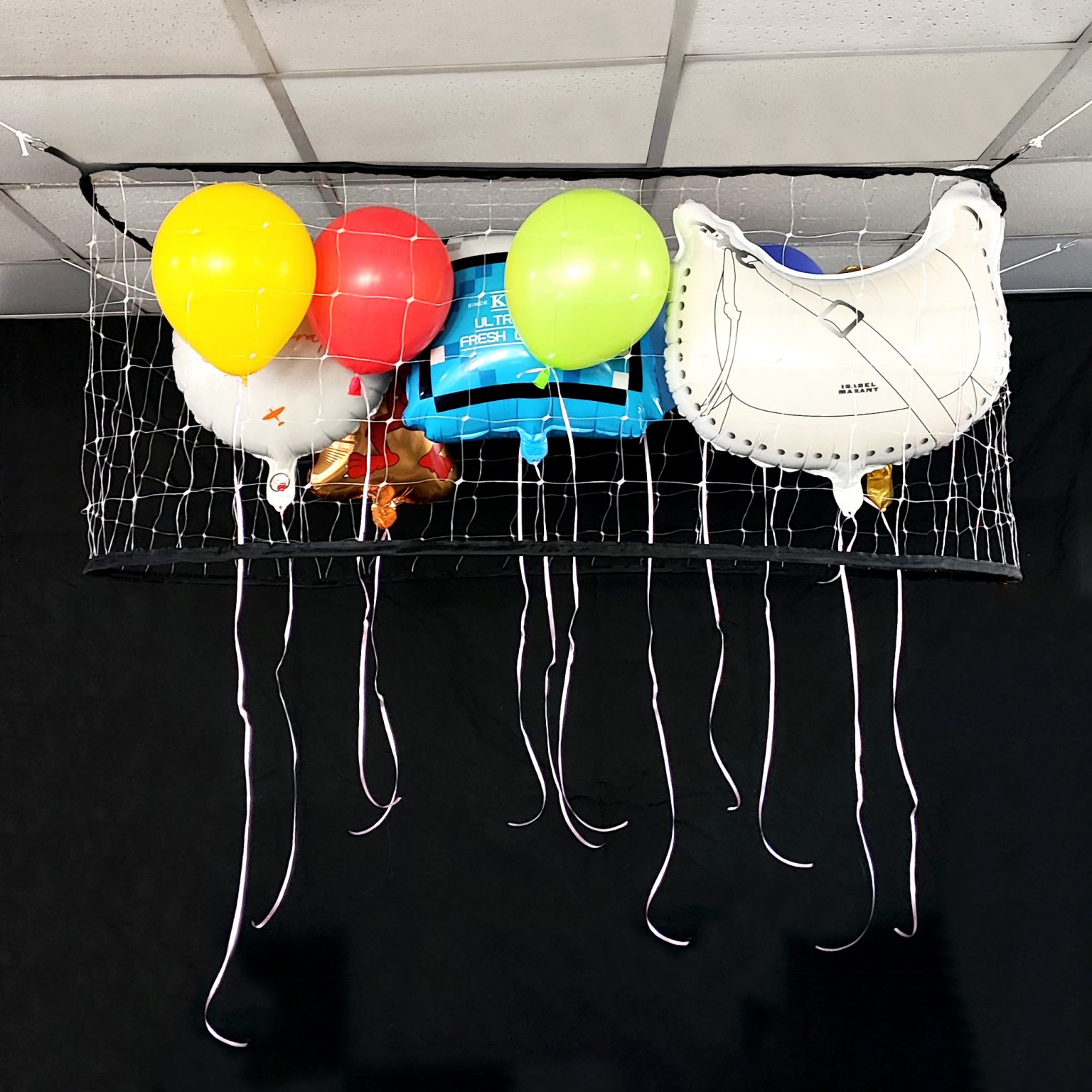 Netting Balloon Corral | The Very Best Balloon Accessories Manufacturer ...